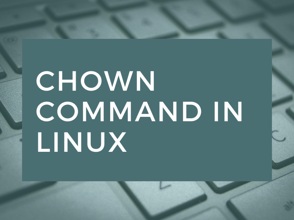 Linuxファイル所有権を管理する「chown」コマンドの基本と使い方 - Kakiro-Web カキローウェブ