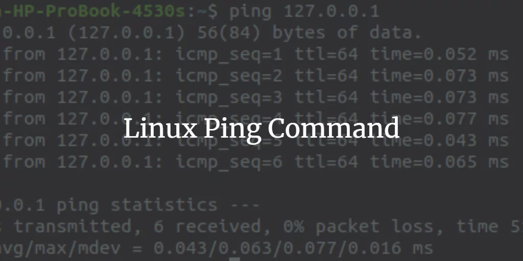 Linux Ping コマンドの使い方とその重要性 - Kakiro-Web カキローウェブ