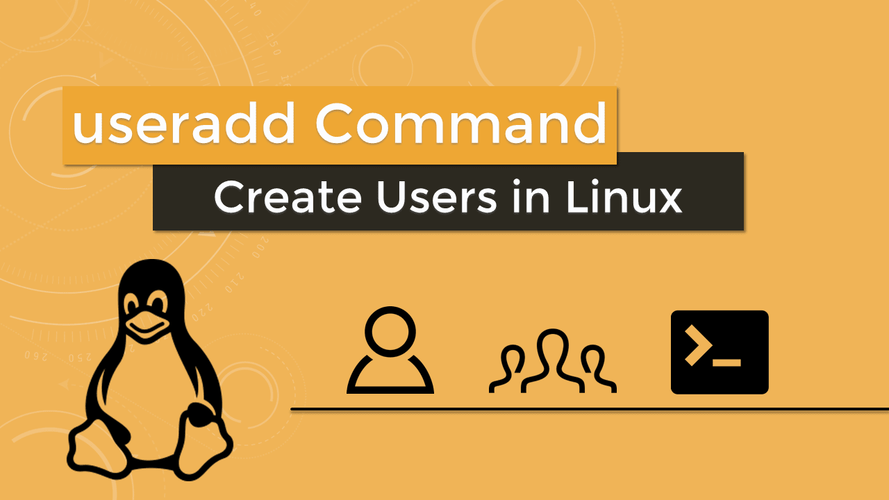 Linuxでのuseraddコマンドの使い方とユーザー追加手順を徹底解説 - Kakiro-Web カキローウェブ
