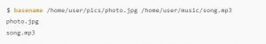 basename コマンド の使い方と活用例 - Kakiro-Web カキローウェブ